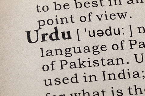 UNIB presents a neural network-based lemmatization model for Urdu ...